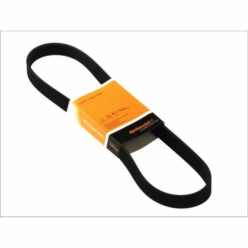 Keilrippenriemen CONTI 6PK1698 4010858532659 | eBay