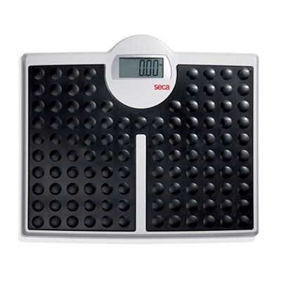 Seca 813 - High Capacity Digital Flat Scale for Individual Patient use ...