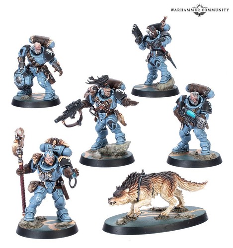Kill Team Dead Silence Space Wolves Wolf Scouts Minis Tokens Cards Warhammer 40k | eBay