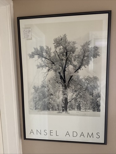 ANSEL ADAMS OAK TREE, SNOW STORM-Yosemite National Park - ORIGINAL ...