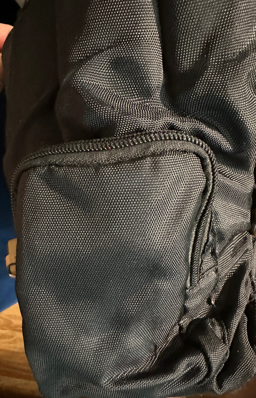 Cute black bear backpack | eBay