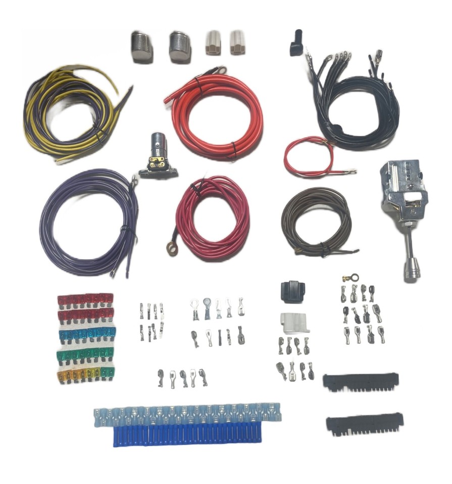 22 Circuit Wiring Harness with Bonus Switches 1949 to 1956 Ford Car ...