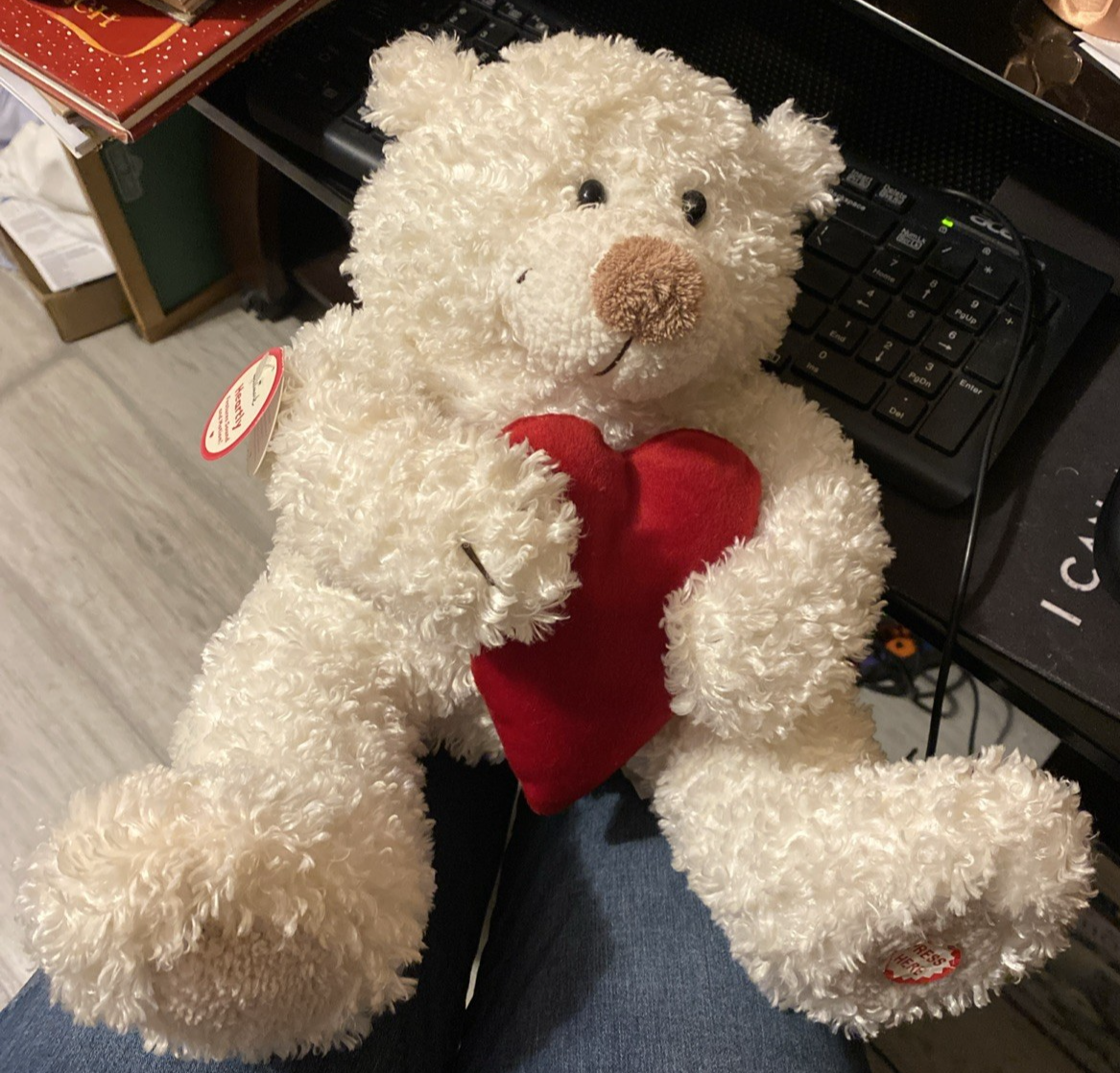 Hallmark Heartly Hug Me Plush Teddy Bear Valentine Gift VIDEO Sounds ...