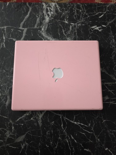 Rare Pink Apple ibook G4 For Parts Or Repair | eBay