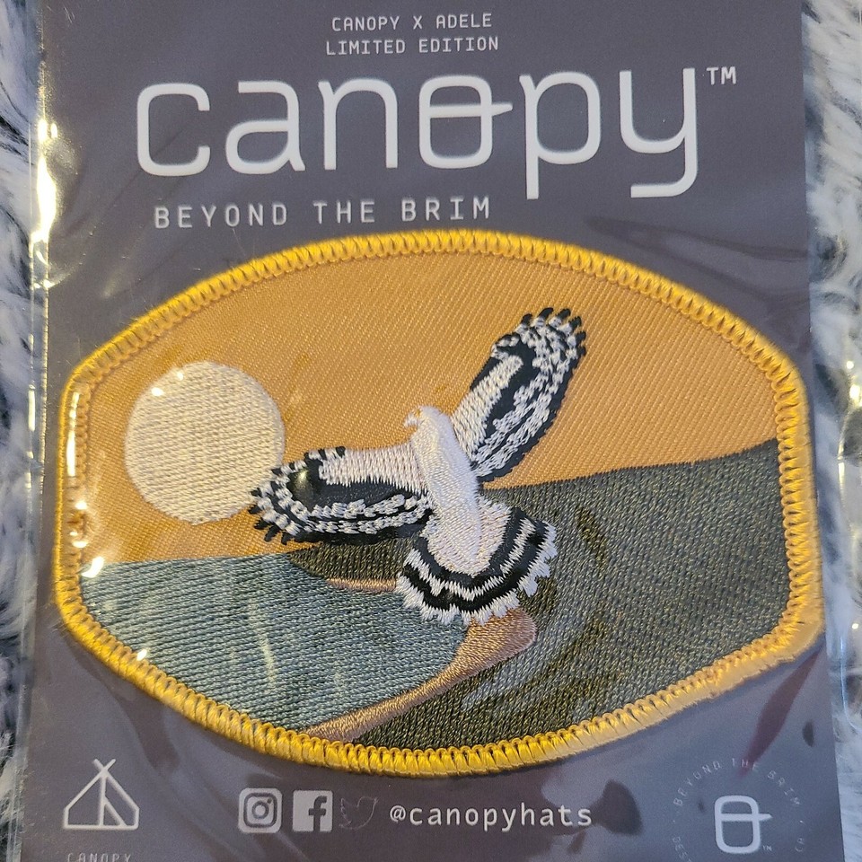 Hawk patch California Canopy hats Sew interchangable | eBay