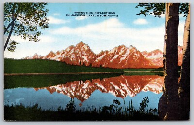 Postcard Springtime Reflections in Jackson Lake Wyoming B3 | eBay