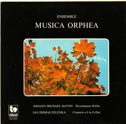 HAYDN Divertimento ZELENKA Concerto in G MUSICA ORPHEA ENSEMBLE Gallo ...