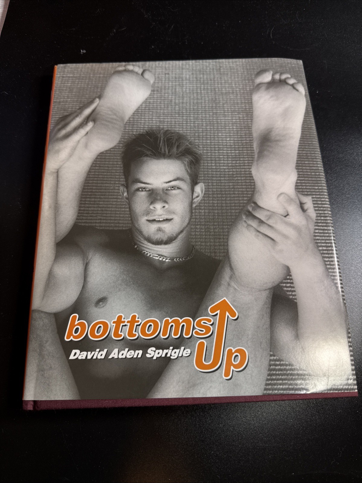 'bottoms Up' by David Aden Sprigle, 2005 1st Ed., Hardcover Male Erotic ...