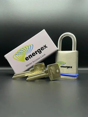 Energex ENERGEX EXCY234-2 | Energex Crocodile Padlock With 2 Keys | eBay
