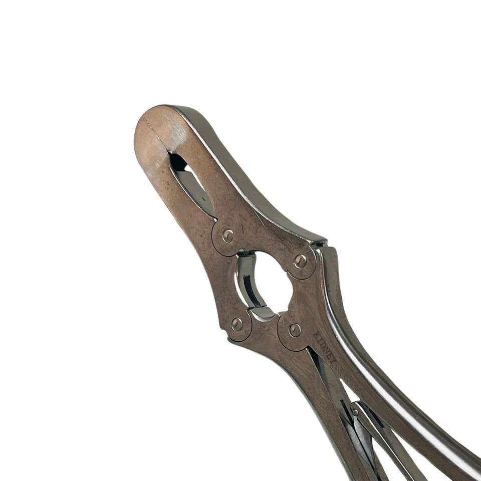V Mueller CH-560 Sauerbruch Rib Rongeur Forceps, Length 12in, Straight ...