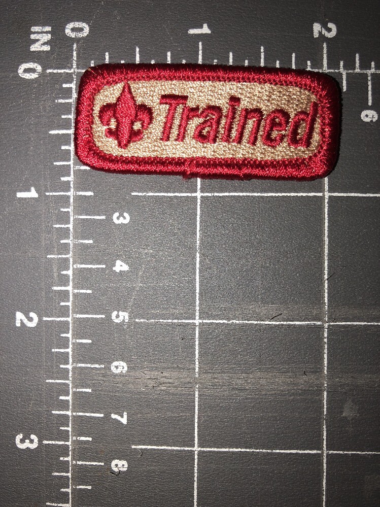 Boy Scouts of America BSA Red Tan Trained Patch Youth Protection ...