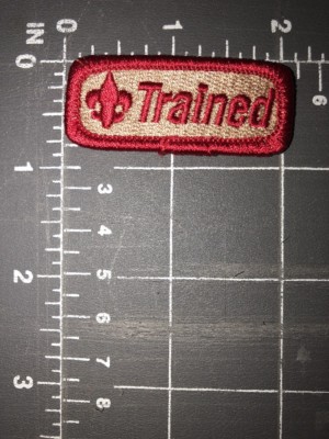Boy Scouts of America BSA Red Tan Trained Patch Youth Protection ...