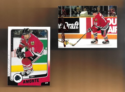 BOTH! TONY AMONTE-CHICAGO BLACKHAWKS! NHL LEGEND/UD COPPER PARALLEL ...