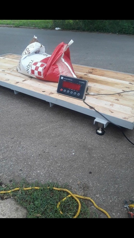 Livestock Scale Kit Cattle Hogs Pigs Squeeze Chute,10,000 lb capacity ...