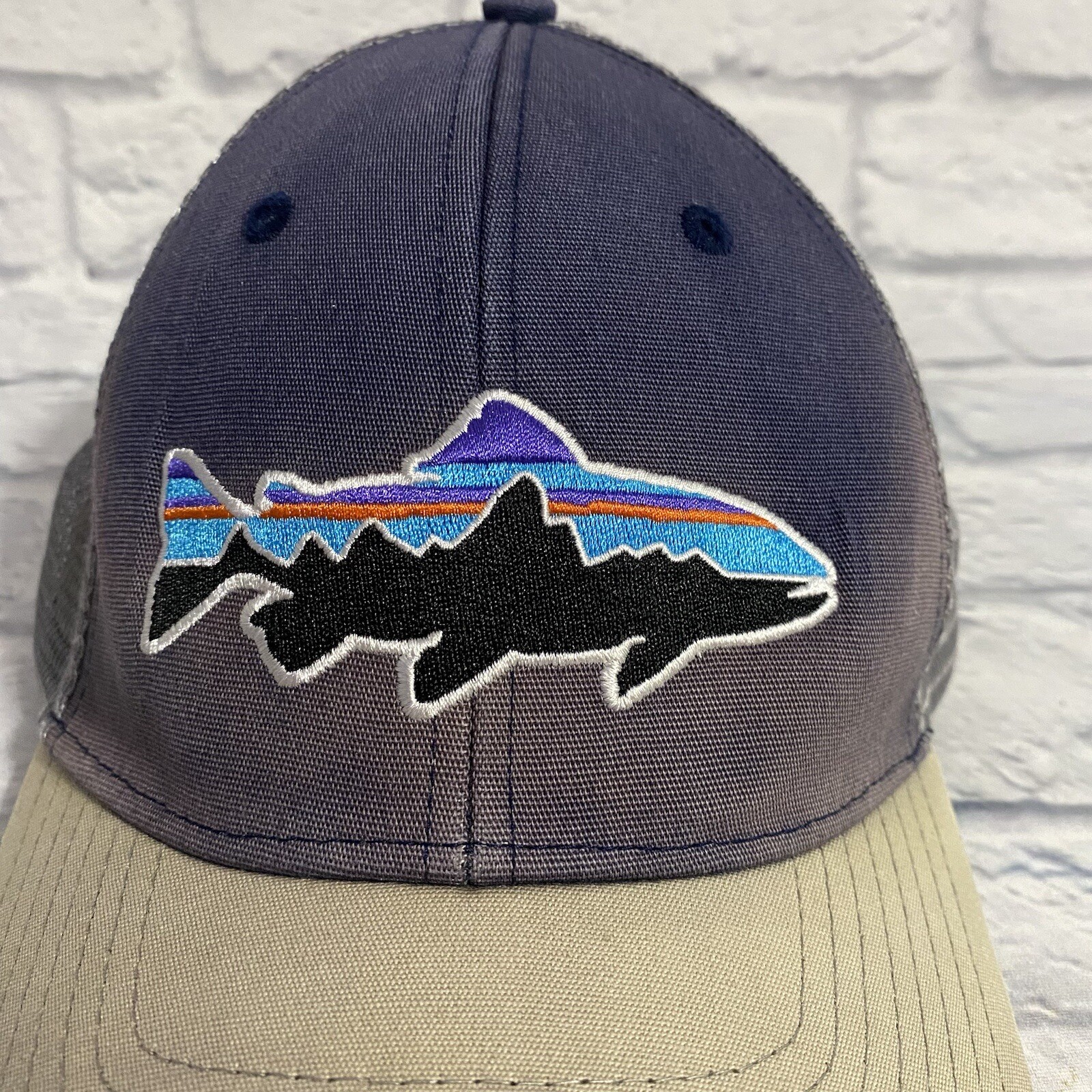 Patagonia Fitz Roy Fish Trout Hat Cap Snapback Adjust… - Gem