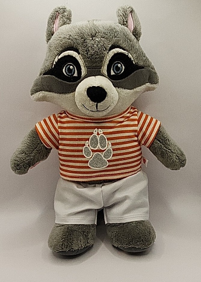 Build-A-Bear Rare Rachel Raccoon Great Wolf Lodge Plush BAB 12" | eBay