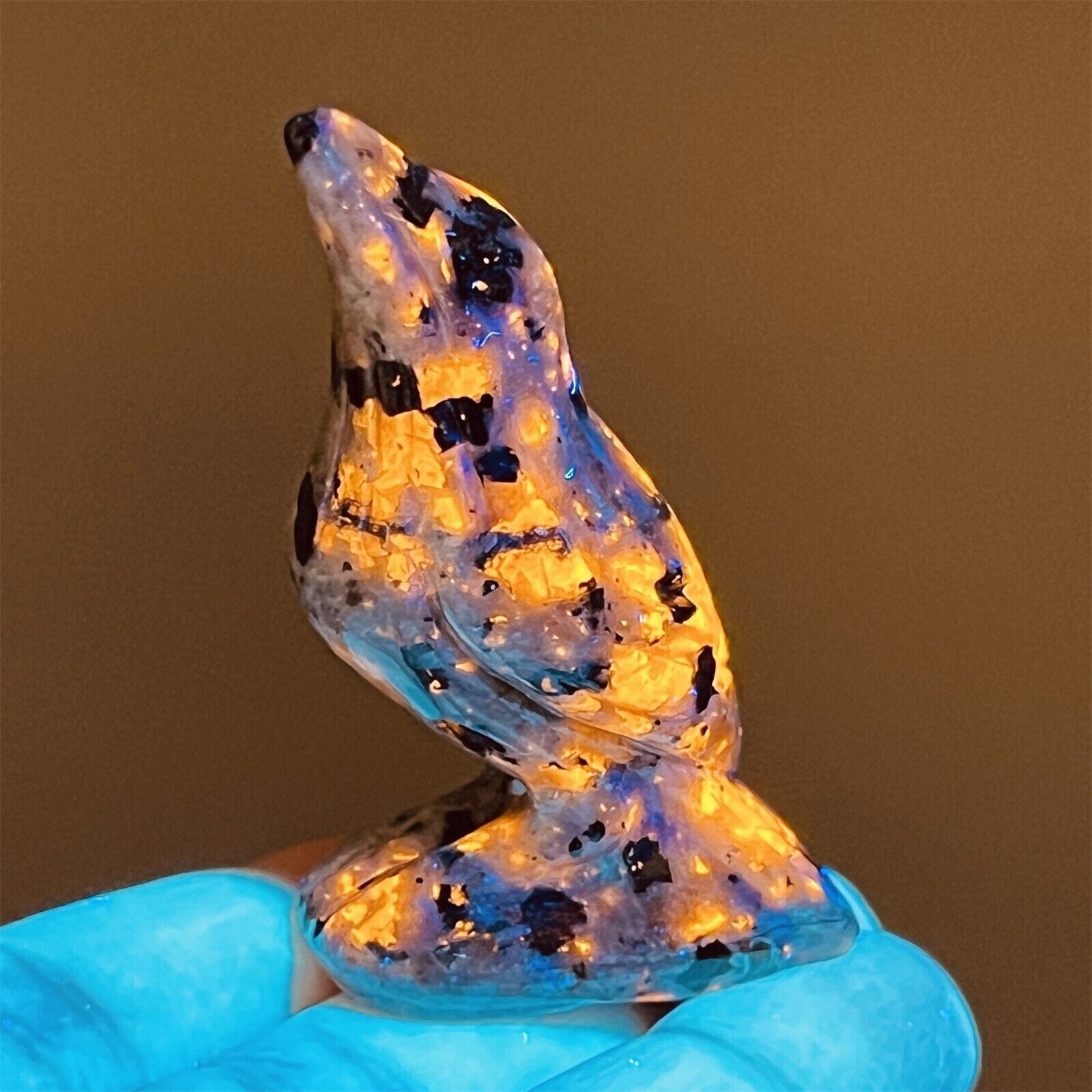 Natural Emberlite Stone Crow UV Reactive Sodalite Raven Statue Home ...