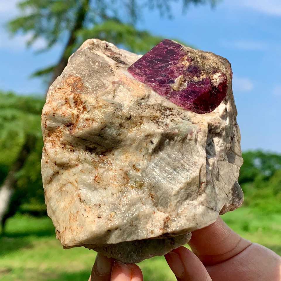 1.14LB Natural Red Tourmaline Crystal Gem Rough Mineral Specimen ...