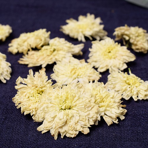 Premium Chinese White Chrysanthemum Flower Tea,China BAI JU GONG Herbal ...