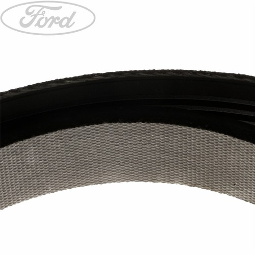 Genuine Ford Fiesta Mk7 Mk8 1.2 1.4 1.6 16v Drive Belt V-Ribbed 1830909 ...