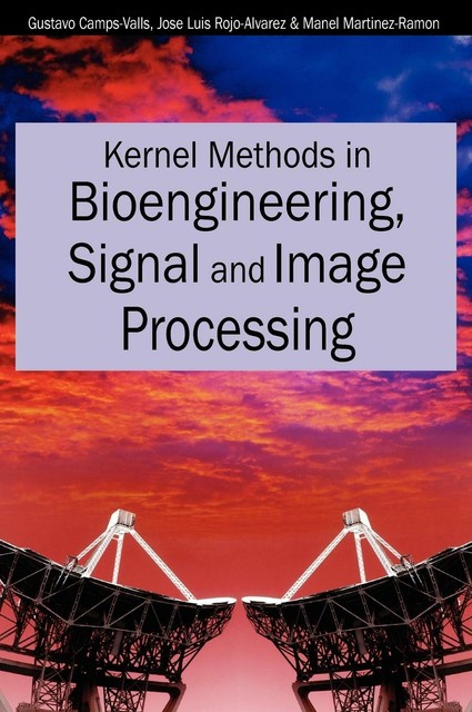 Kernel Methods in Bioengineering, Signal And Image Processing von Gustavo Camps-Valls Jose Luis ...