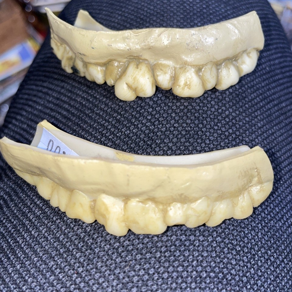 Vintage rare Halloween Teeth Fun World DIV Set | eBay