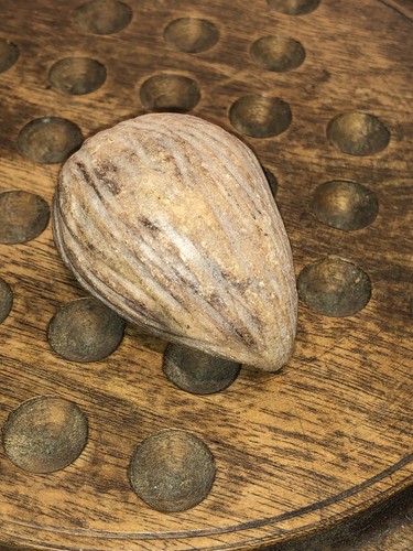 Rare Early Vintage Stone Marble Nut Italian Alabaster Nut Realistic ...