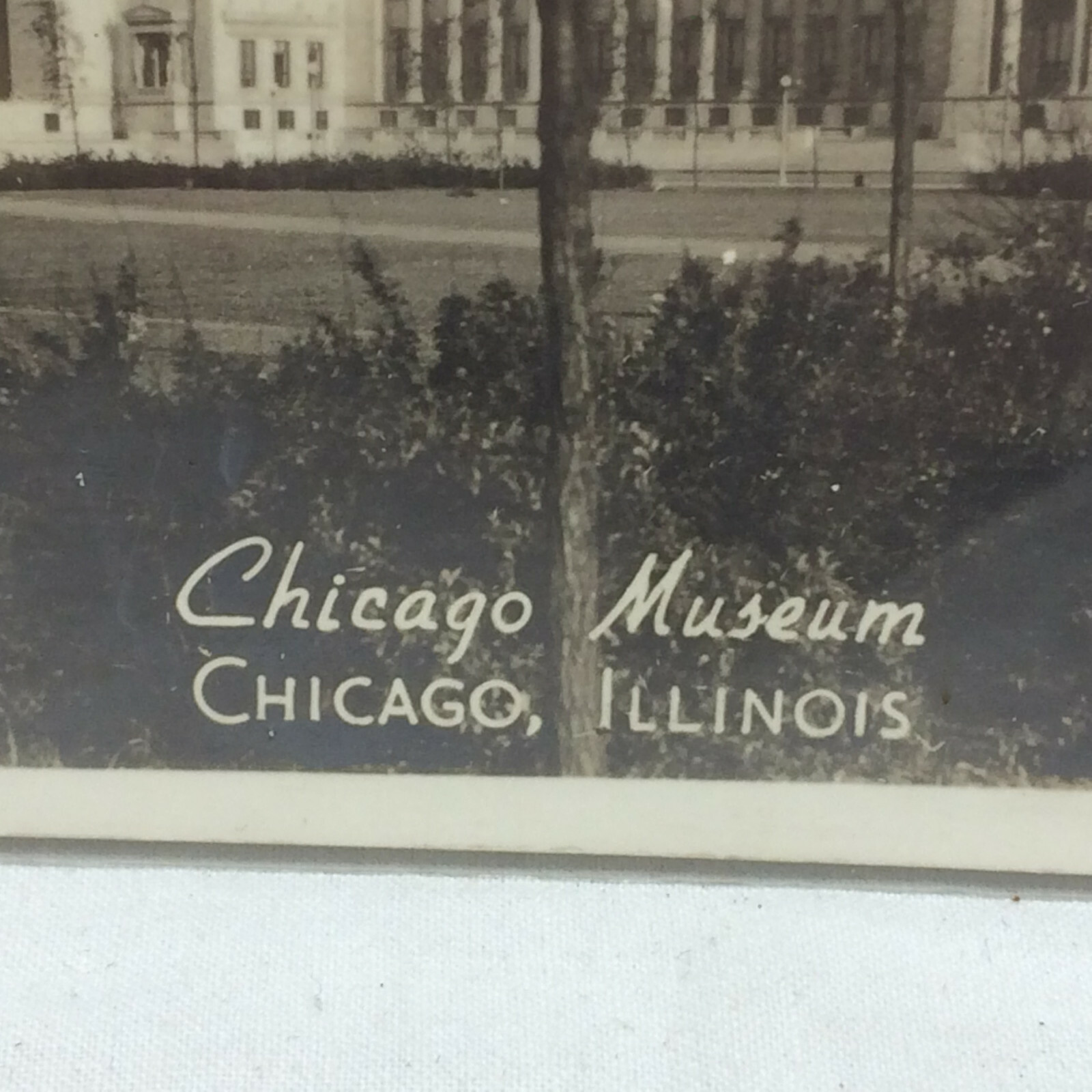 Vintage Real Photo Postcard Chicago Illinois Museum Scene Grogan | eBay
