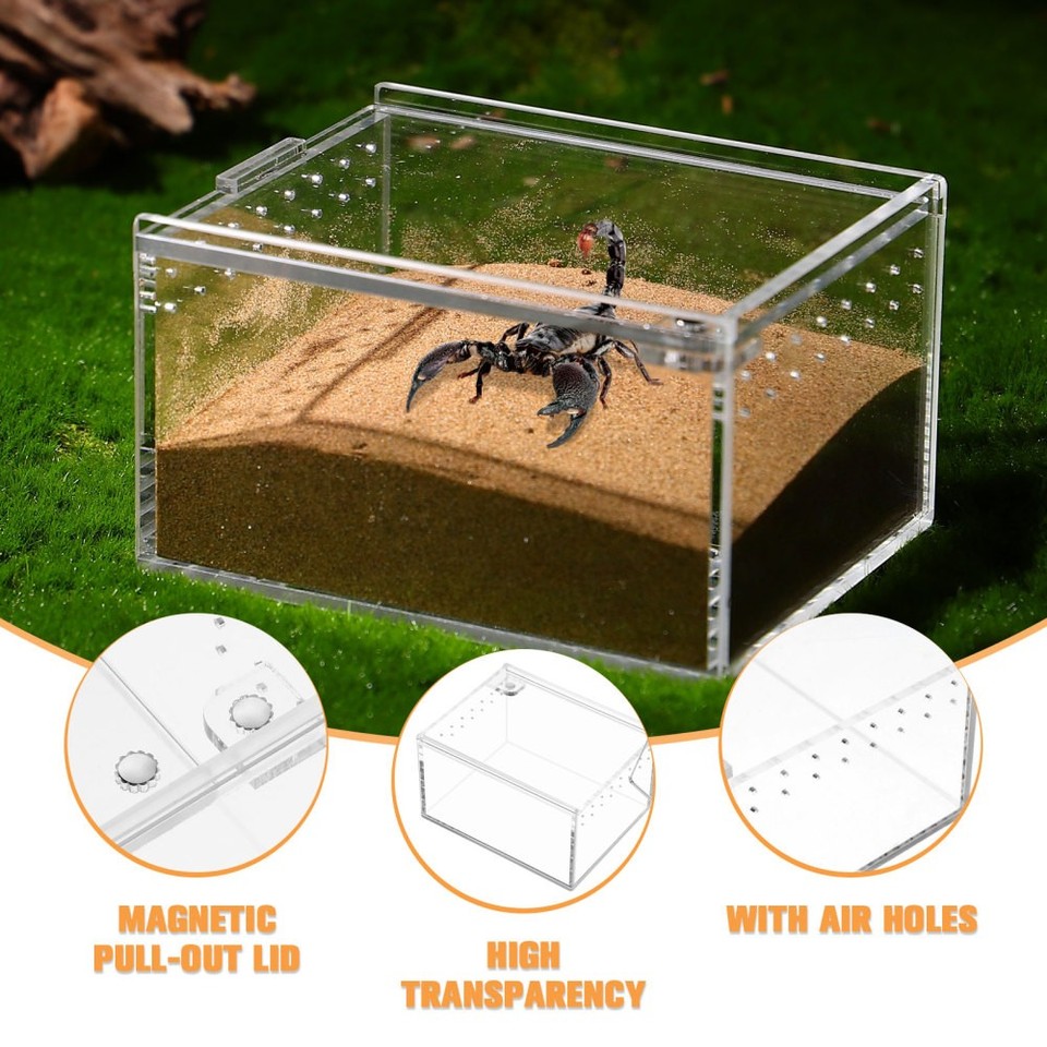 Set of 2 Leak-proof Pet Crawling Box Lizard Case Travel Baby Small ...