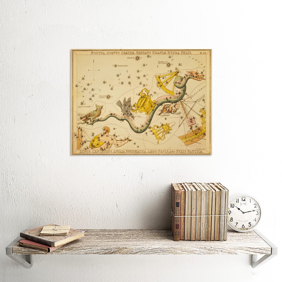 PAINTING DRAWING STAR MAP CROW OWL SNAKE CONSTELLATION FINE ART POSTER ...