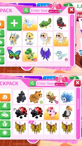 ADOPT TODAY! 🔥SAME DAY DELIVERY🔥 ( SEE DESCRIPTION ) | eBay