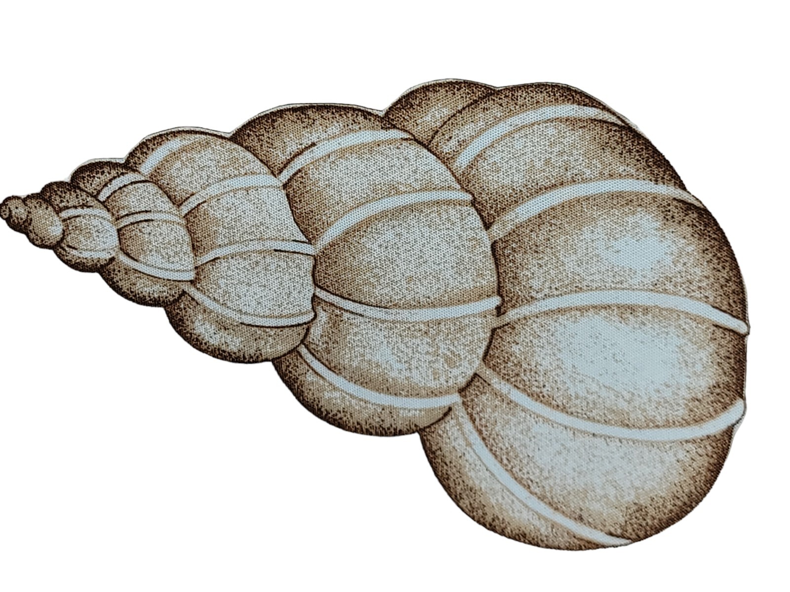 Ocean Wentletrap Brown Seashell Large Size Iron On Patch 6.5 " New | eBay