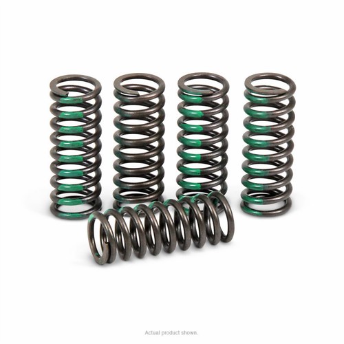 Performance Clutch Springs Pro Circuit CSK10250-CS | eBay