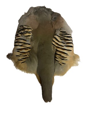 Chukar Partridge Skin, Premium Fly Tying/Craft Feathers | eBay