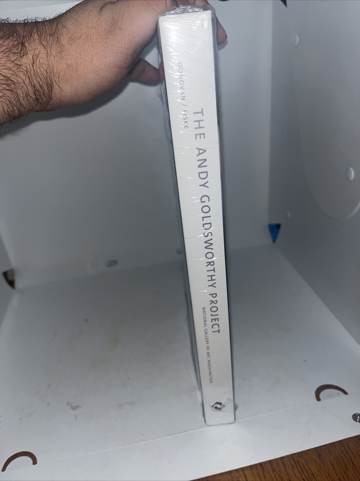 Andy Goldsworthy Project by Tina Fisk and Molly Donovan for sale online ...