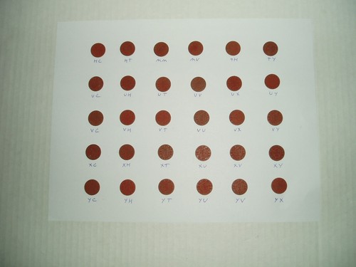WW2 OPA Food Ration Token lot set of 30 different red including MV | eBay