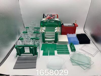 Bio-Rad Mini-PROTEAN Tetra Cell & Mini Trans-Blot Module #1658029 ...