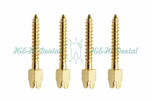 50Pcs Hi&Hi Dental #L2 24K Golden Plated New Dental Screw Post for Root ...