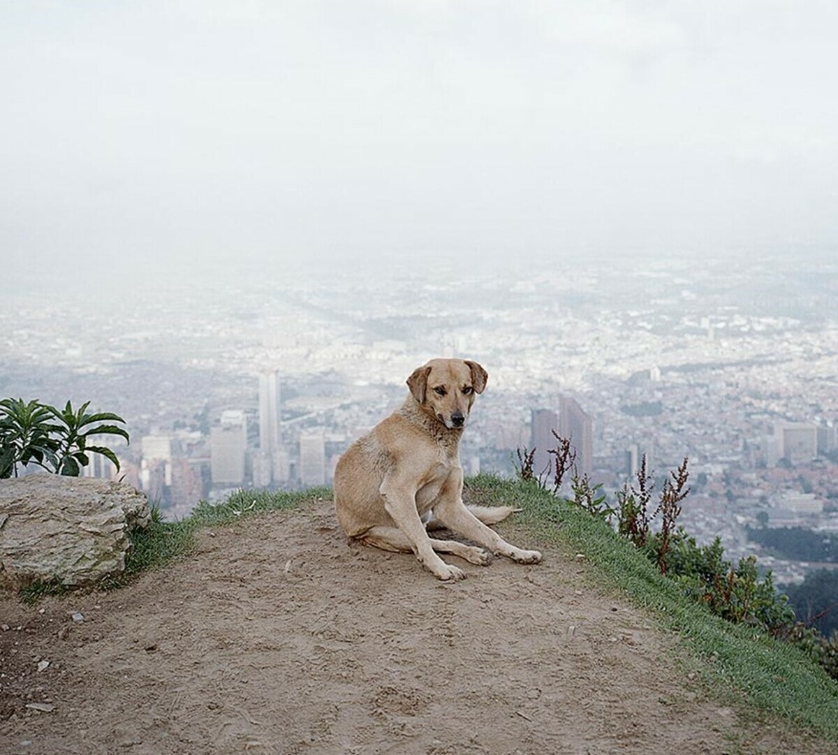 Alec Soth Fotografia Alec Soth