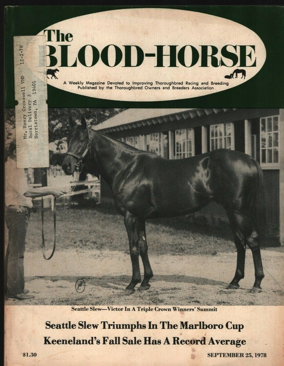 Bloodhorse Daily TAA Aftercare Partner Beyond The Wire Program Evokes