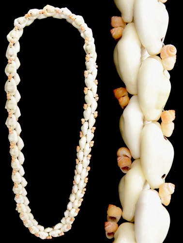 Polynesian Hawaiian Cowrie Shell Lei Necklace Hawaii Wedding Tiki Luau ...