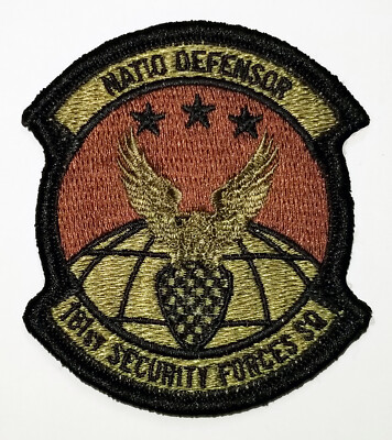 Air Force 181st Security Forces Squadron Subdued Hook Back Patch | eBay