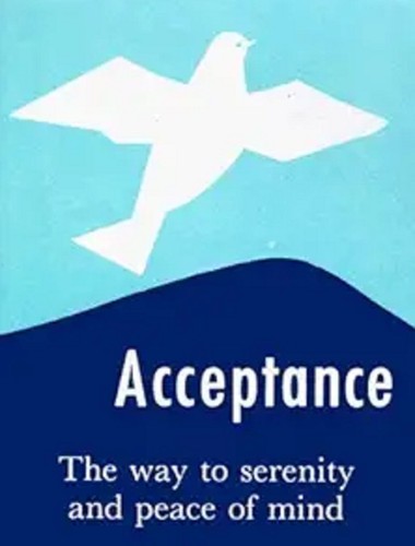 AA Acceptance Booklet: English or Spanish-You Choose the Booklet you ...