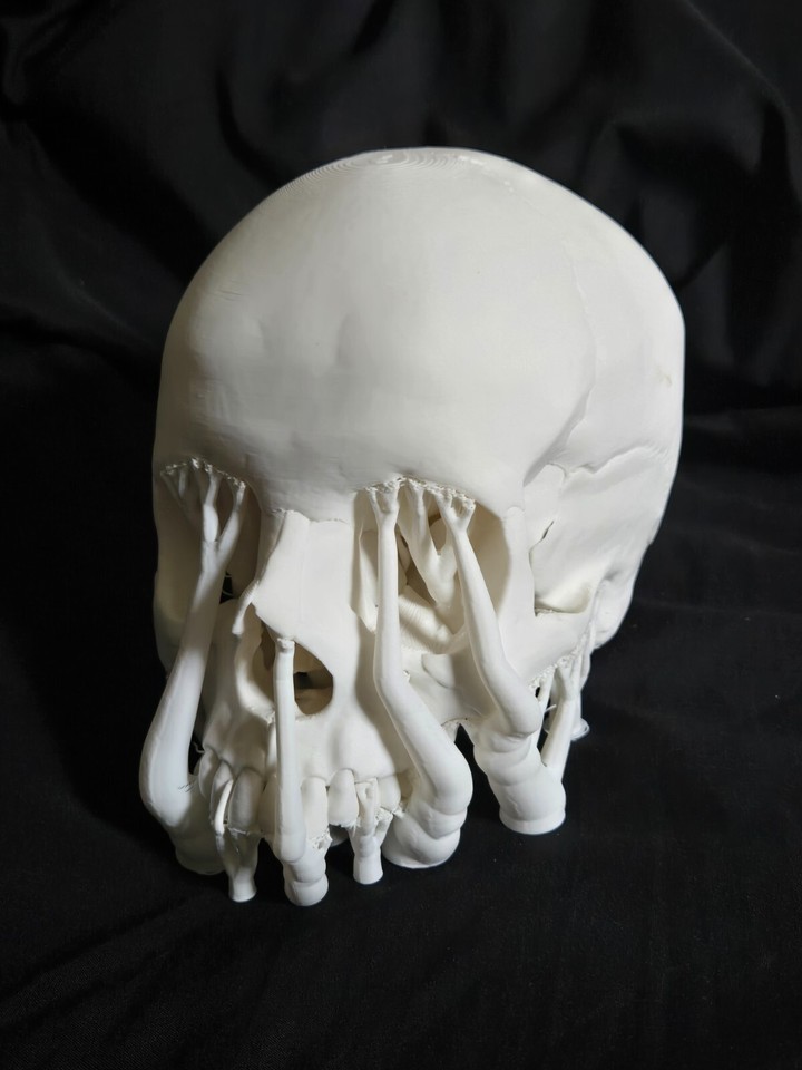 3D PRINTED Life Sized Human Skull Replica Model with organic supports ...