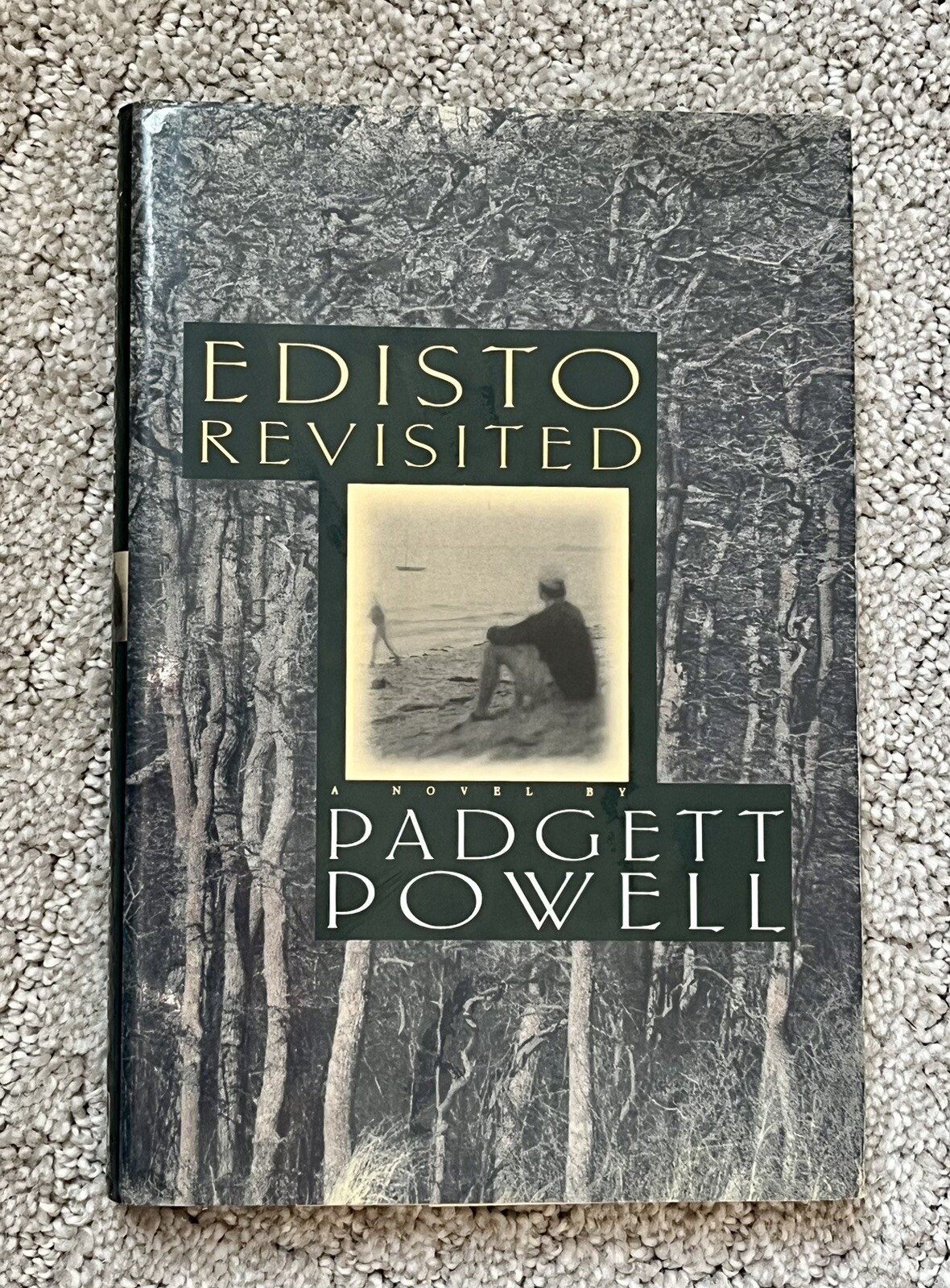EDISTO REVISITED By Padgett Powell - Hardcover 9780805042375| eBay