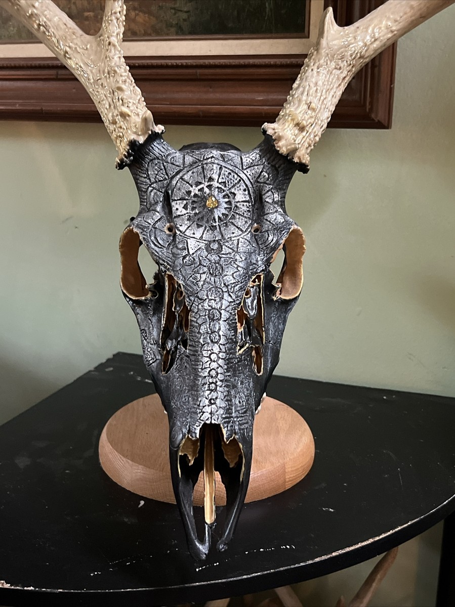 Native American Deer Skull Art