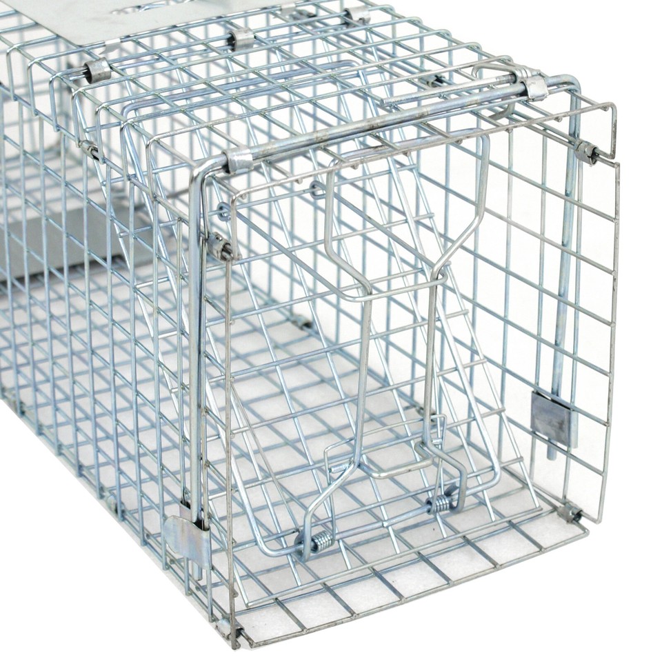 Humane Animal Trap 24'' Steel Cage for Small Live Rodent Control Rat ...