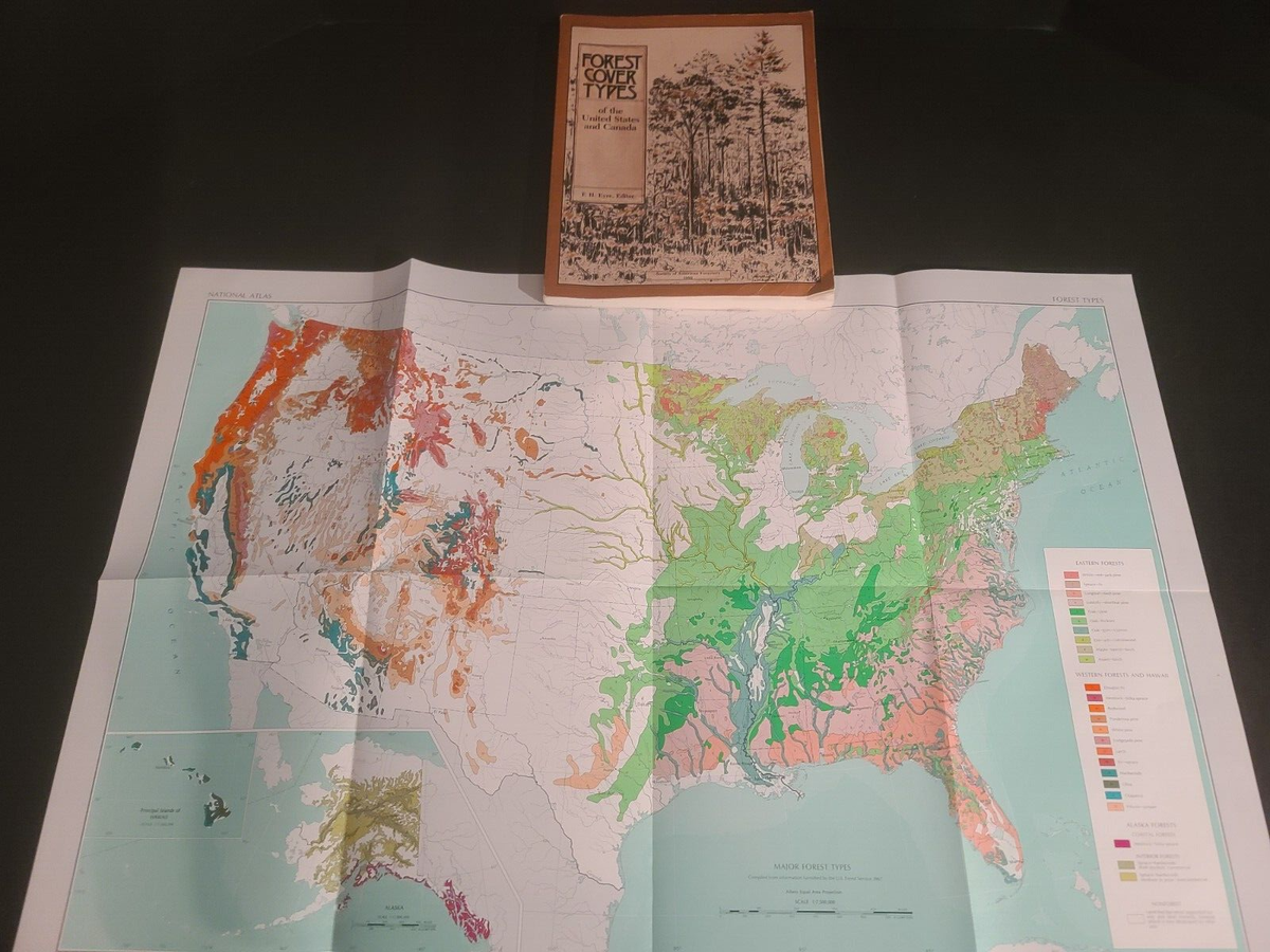 Types Of Forests In Usa American Hardwoods: Renewable, Abundant And