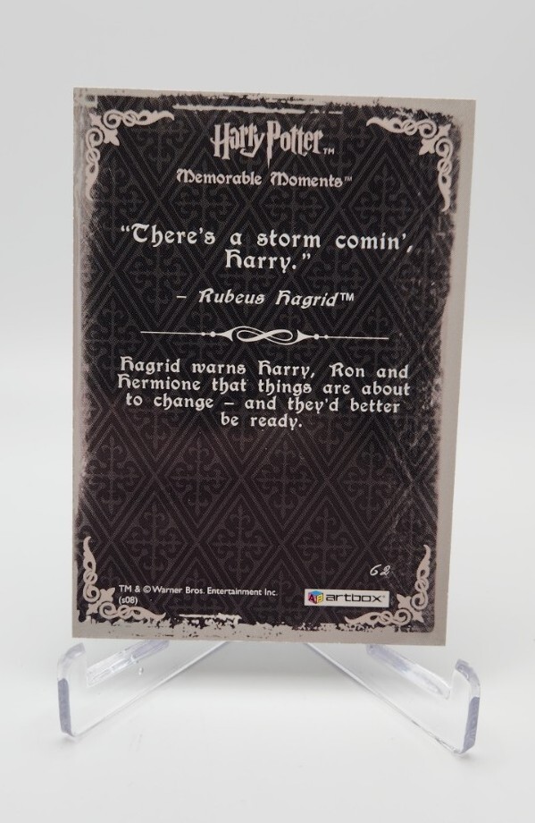 "There's a storm comin', Harry." - Artbox - Harry Potter Memorable ...