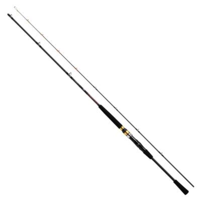 Daiwa Seaflex 64 80-270 - N Offshore Boat Rod | eBay